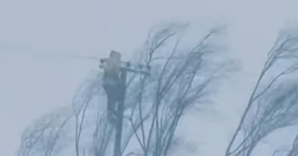 FOTOLAJM/ "Alo Dedê", elektriçisti në Kolonjë sfidon erën e fortë dhe ...