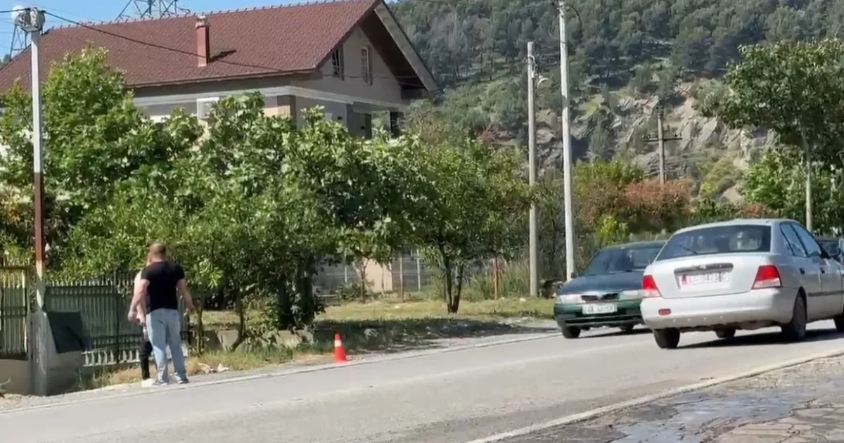 Tragjedia në Elbasan/ Petri Bozo aksidenton për vdekje 7-vjeçarin në ...