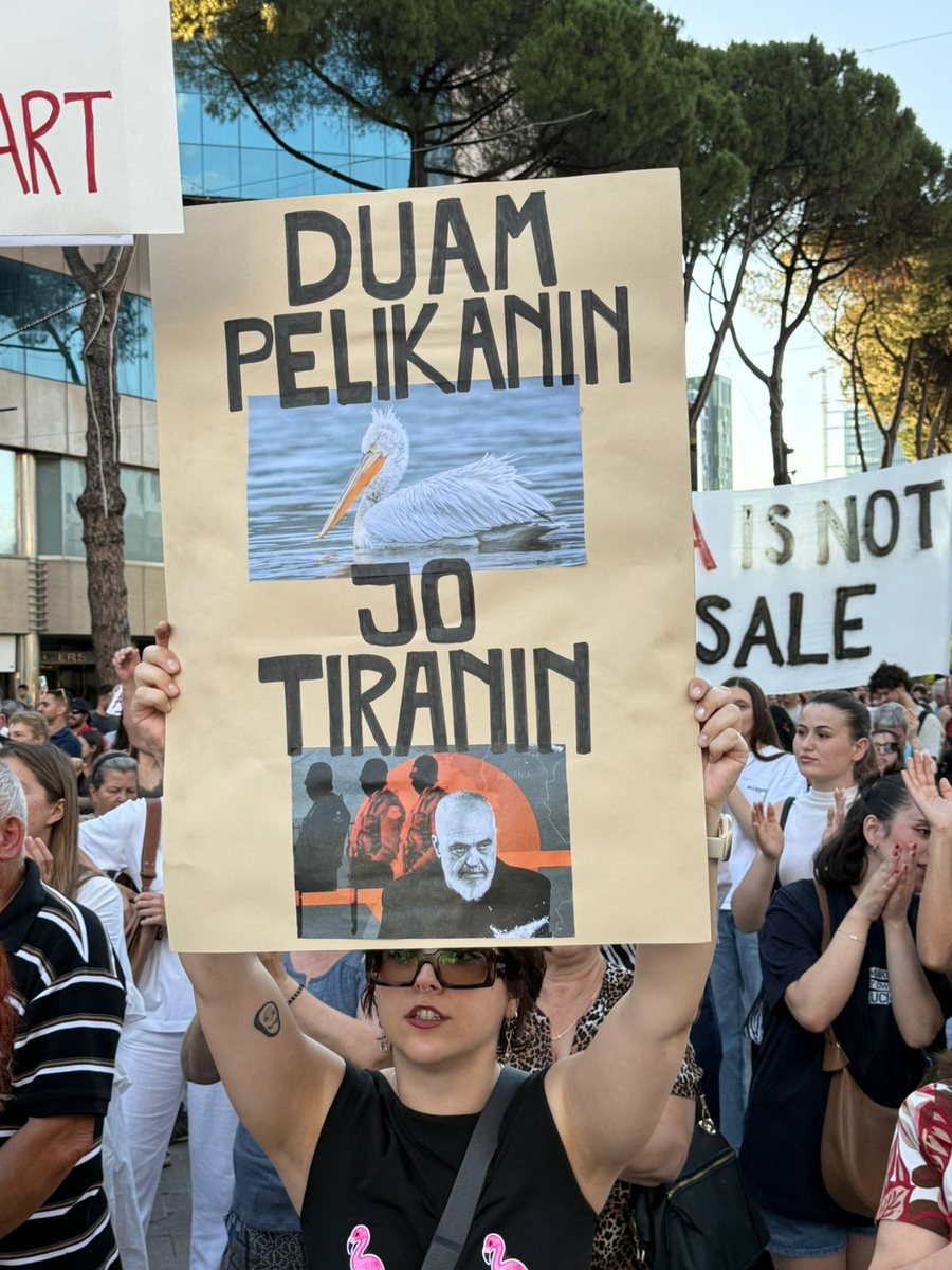 Ironi dhe mesazhe të forta në protestë, spikat pankartat (FOTO ...