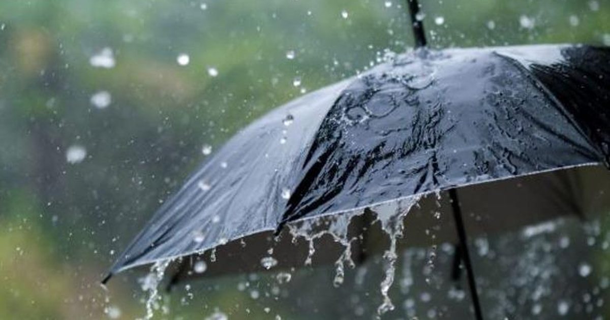 Reshje shiu në këto zona, si do të jetë moti këtë të premte - Aktualitet